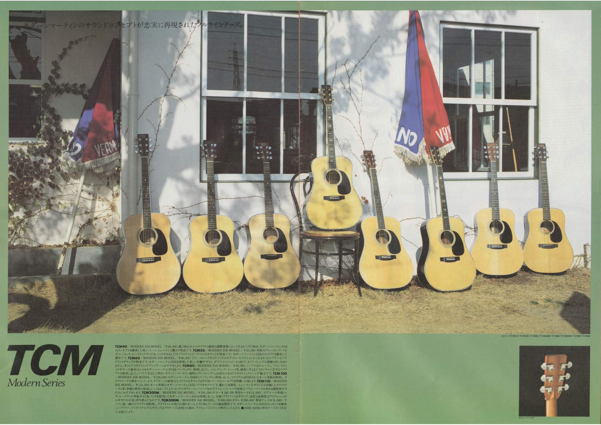 The World of Musical Instruments Brochures - Tokai acoustic guitars ...